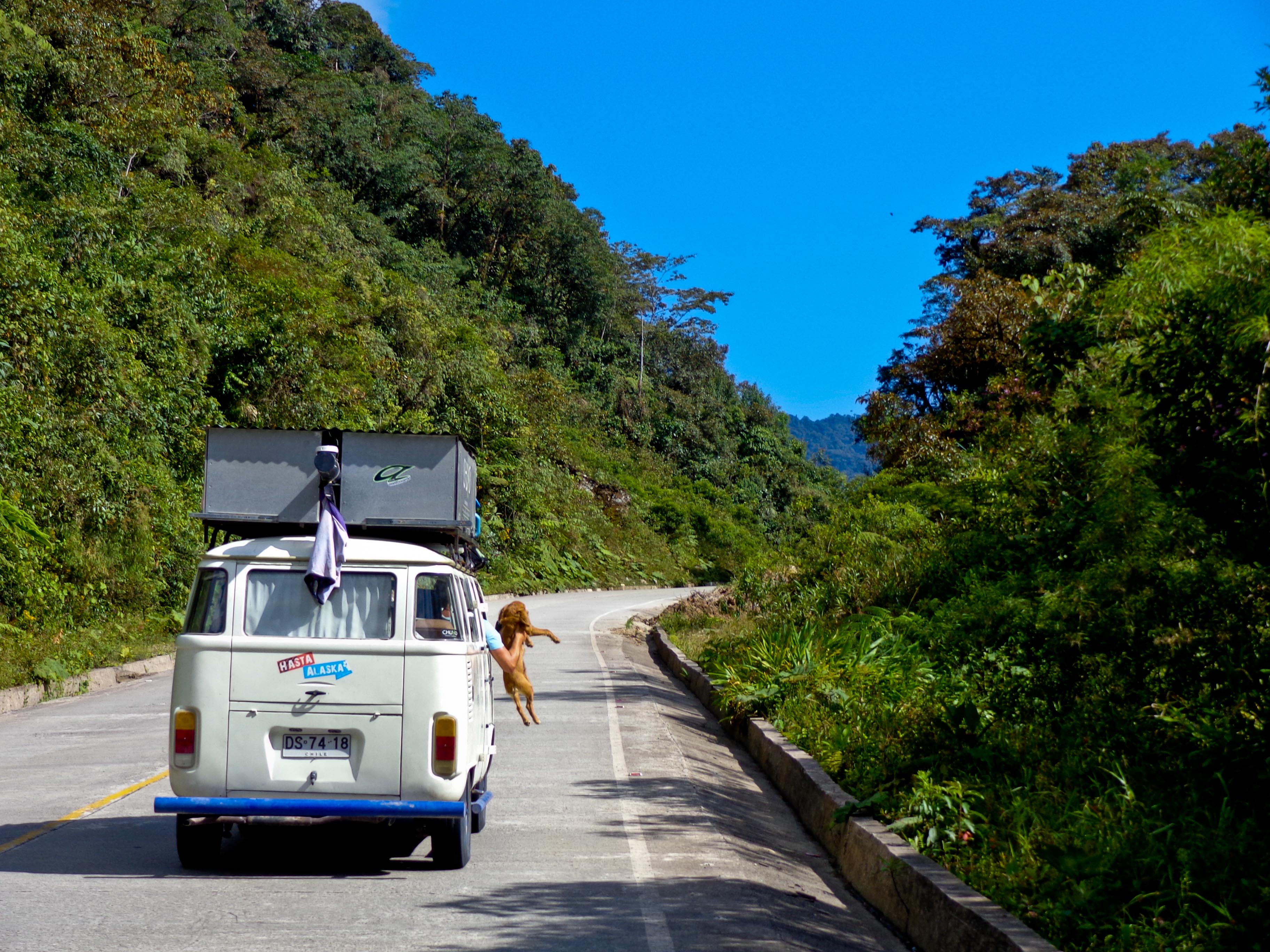 Ecuador Amazon Road Trip